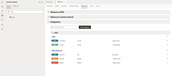 How To Extend The 5gb Limitation Of Oracle Vbcs Business Objects